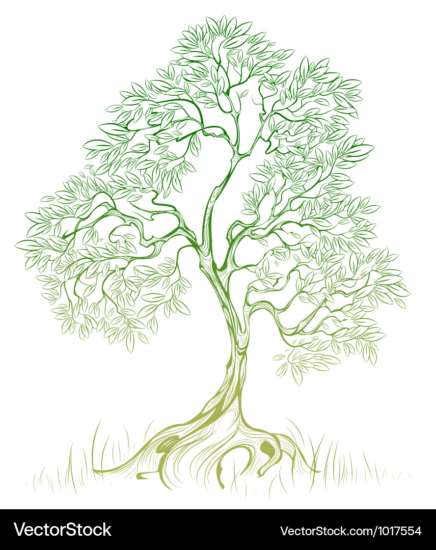 Green tree Royalty Free Vector Image - VectorStock