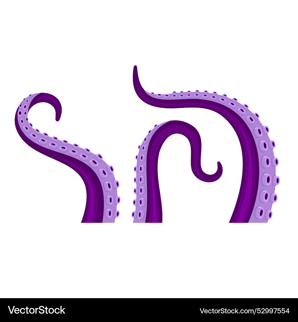 Octopus tentacles set on white background Vector Image