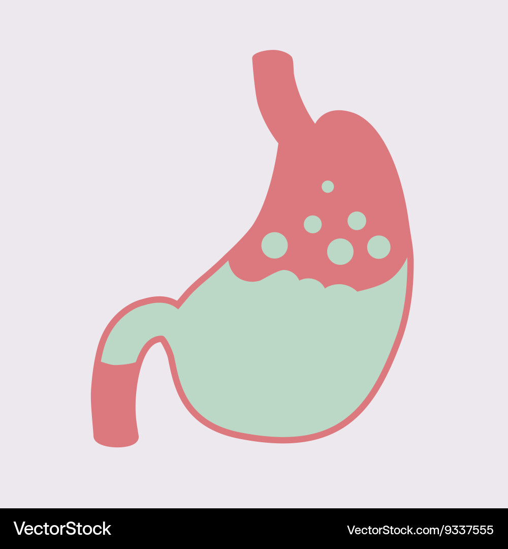 Human acid stomach flat icon Royalty Free Vector Image