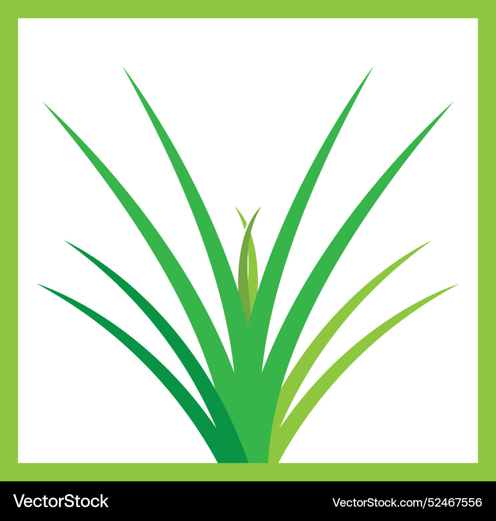 Grass logo Royalty Free Vector Image - VectorStock