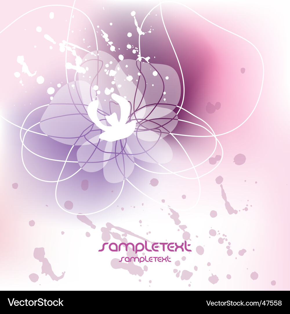 White orchid Royalty Free Vector Image - VectorStock