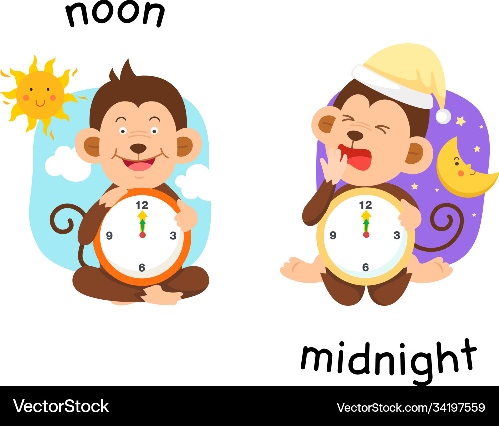 Opposite noon and midnight Royalty Free Vector Image