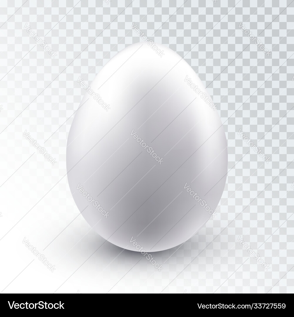 Realistic white chicken egg Royalty Free Vector Image