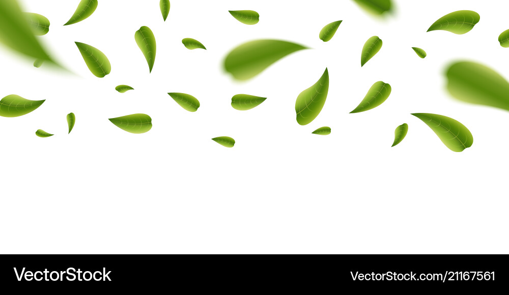 Creative of realistic blurred Royalty Free Vector Image