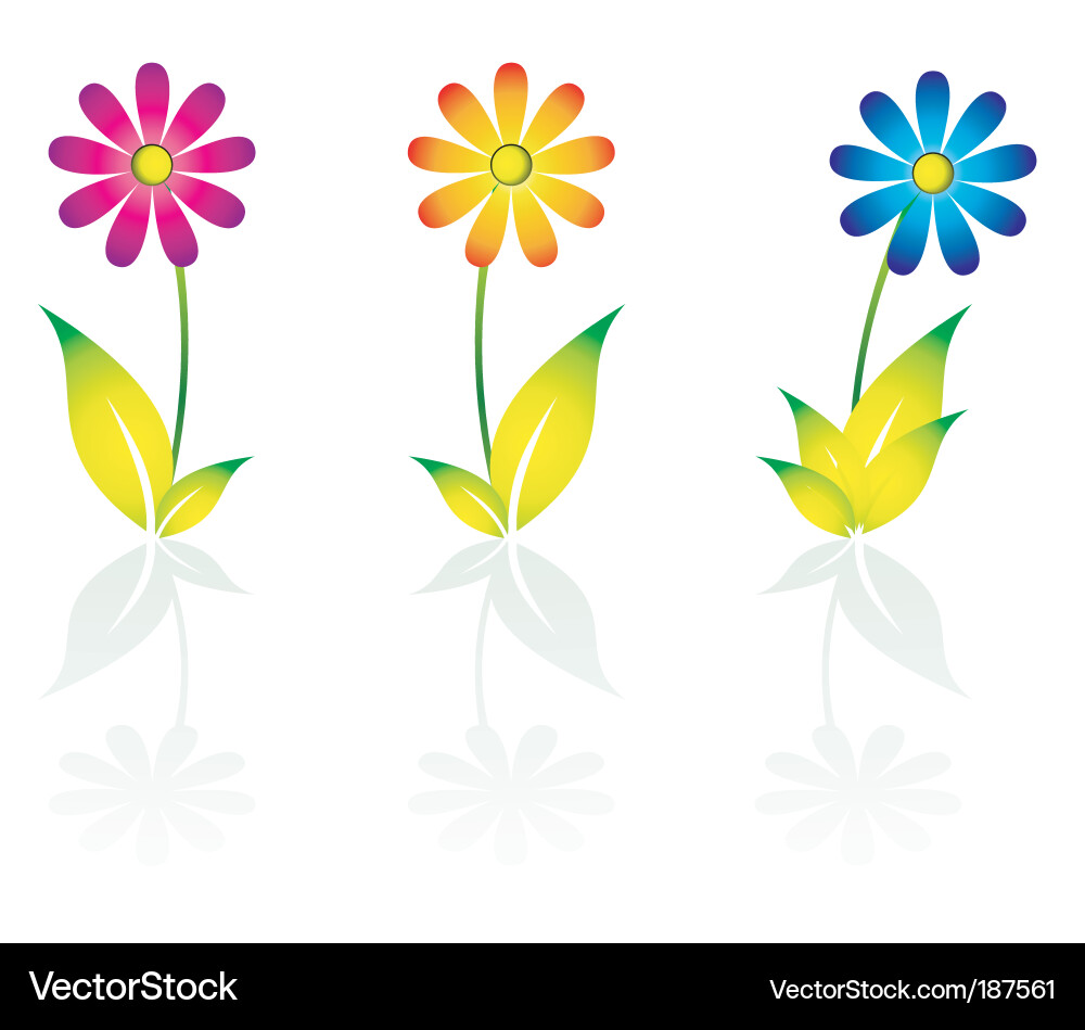Daisy flowers Royalty Free Vector Image - VectorStock