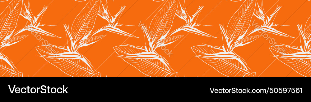 Hand drawn floral pattern design flower drawing Vector Image