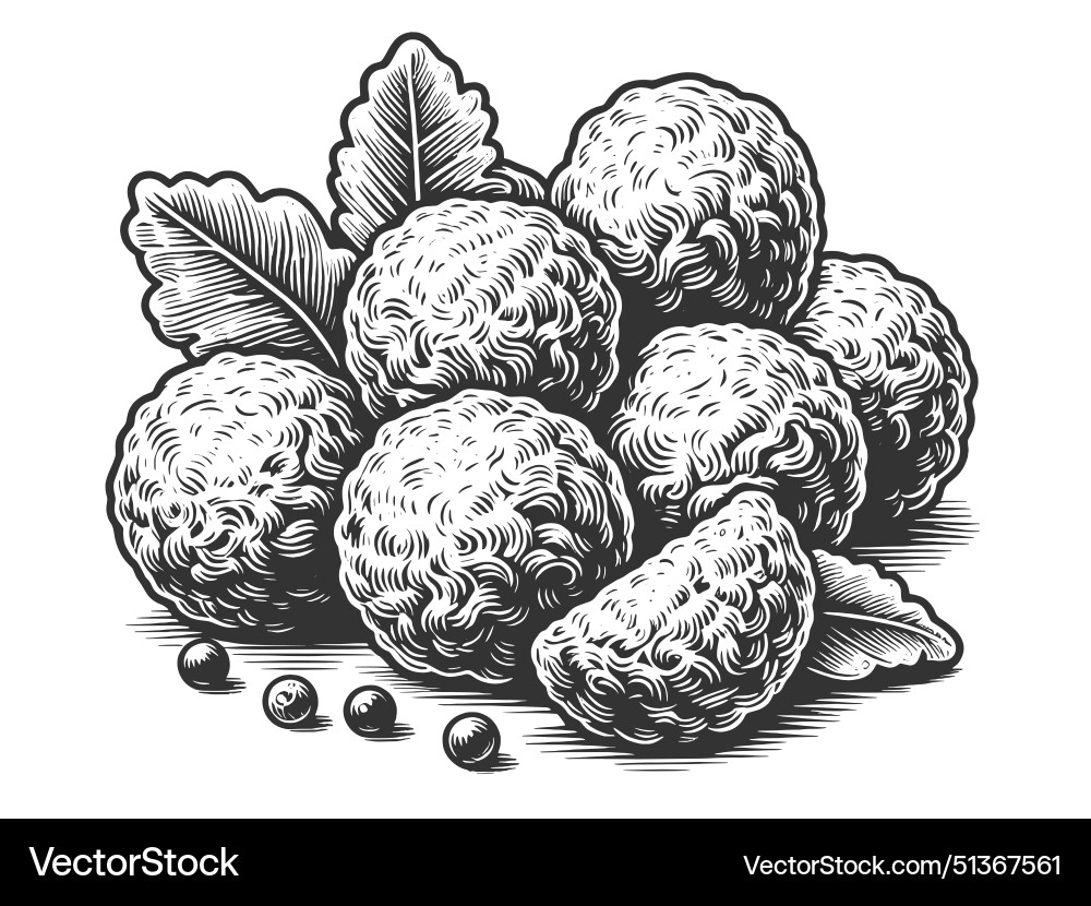 Meatballs engraving sketch Royalty Free Vector Image