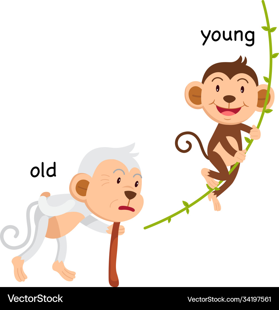 Opposite old and young Royalty Free Vector Image