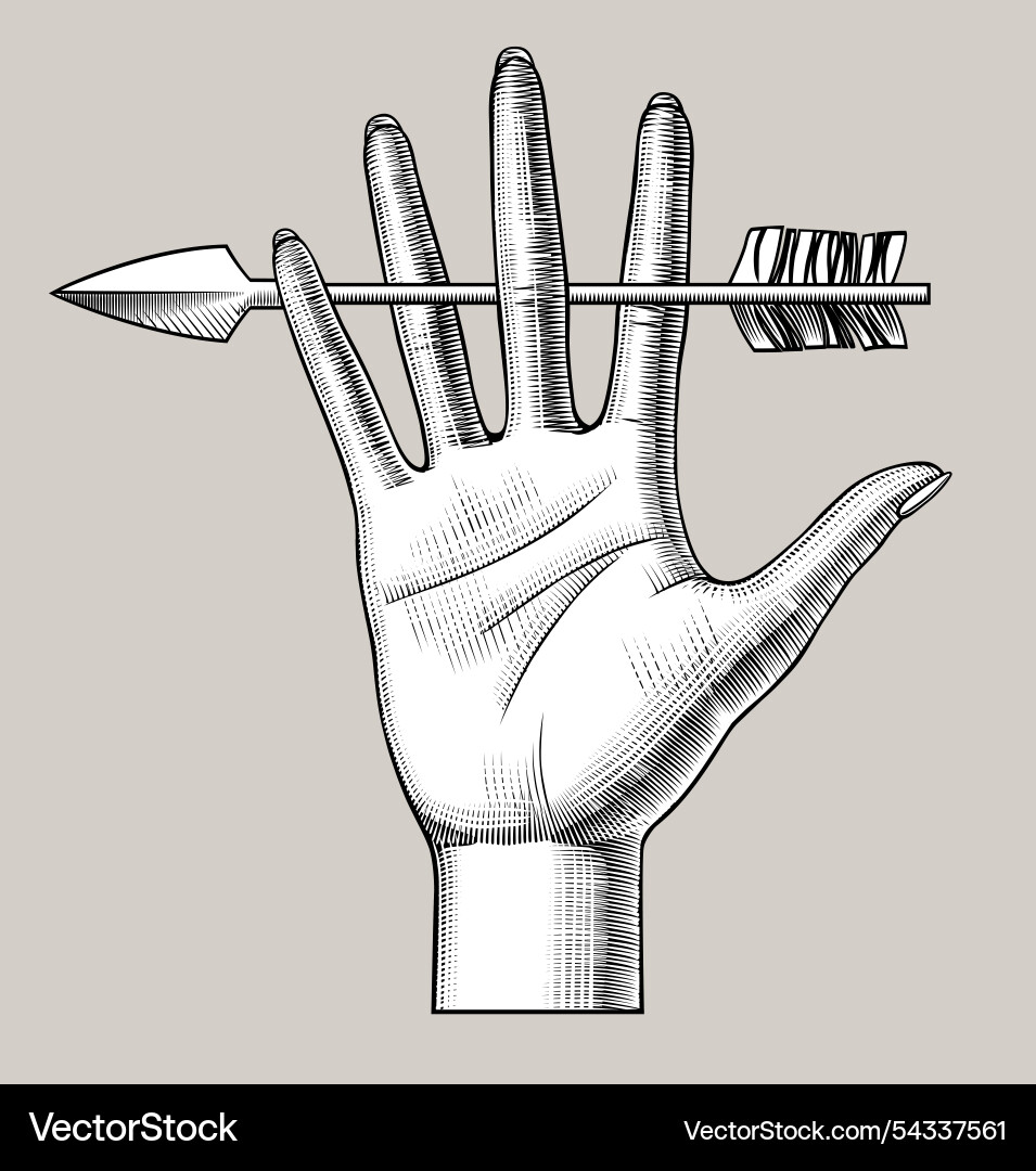 Womans palm with an arrow between the fingers Vector Image