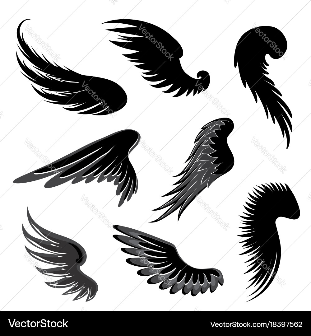 Wings set Royalty Free Vector Image - VectorStock