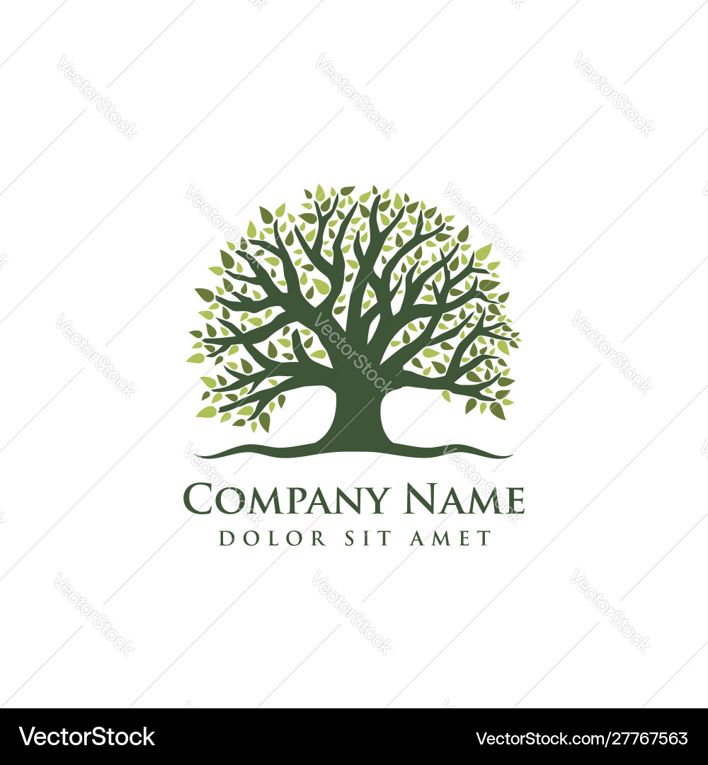 Root tree logo design Royalty Free Vector Image