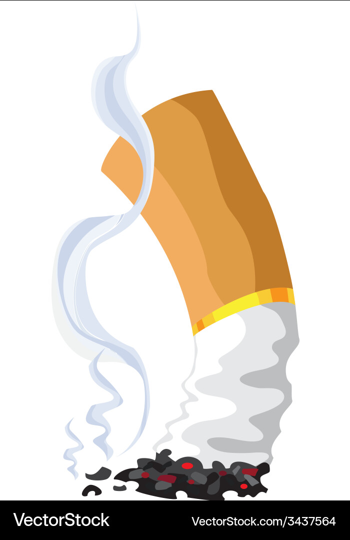Cigarette Royalty Free Vector Image - VectorStock