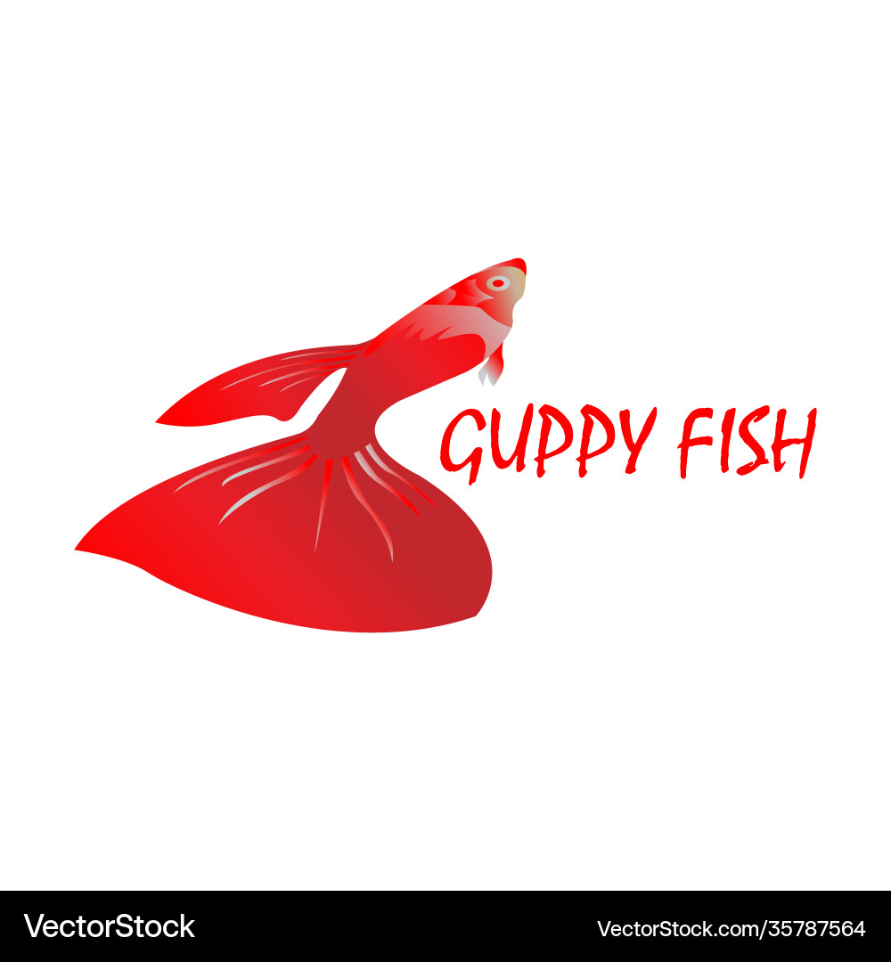 Modern guppy fish logo concept Royalty Free Vector Image Modern guppy fish logo concept Royalty Free Vector Image