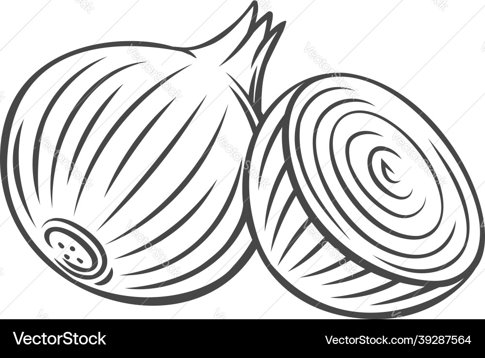 Onion outline icon Royalty Free Vector Image - VectorStock