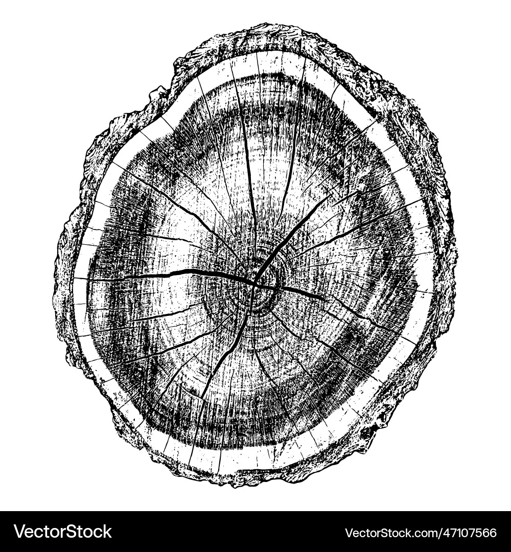 Distressed wood texture Royalty Free Vector Image