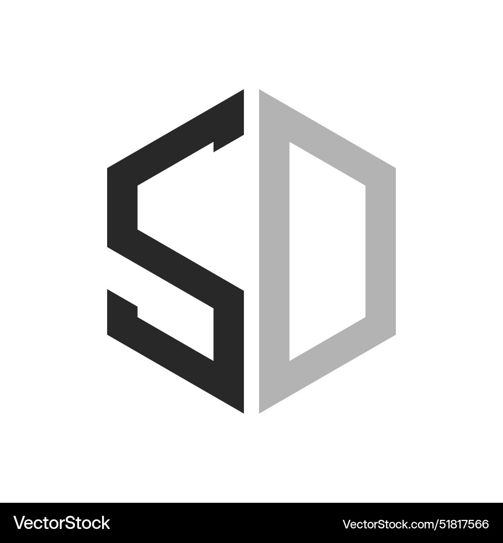 Modern unique hexagon letter sd logo design Vector Image