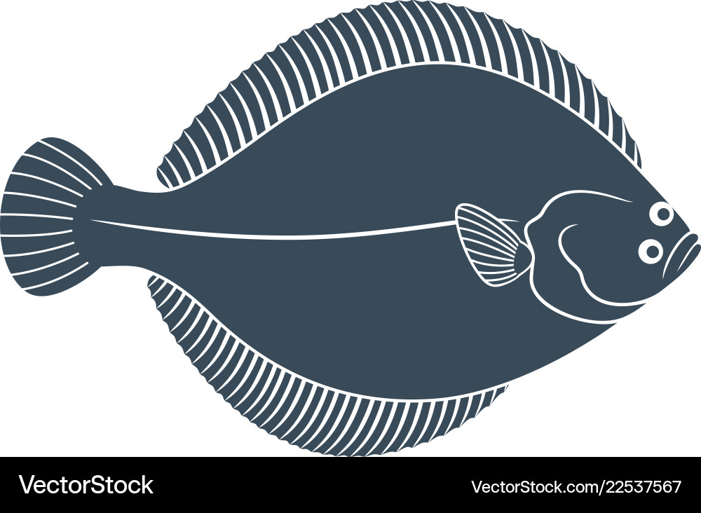 Flounder Royalty Free Vector Image - VectorStock