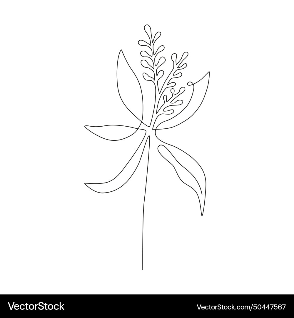 Wildflower line art Royalty Free Vector Image - VectorStock