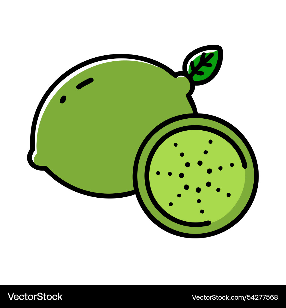 Lime icon fruits Royalty Free Vector Image - VectorStock
