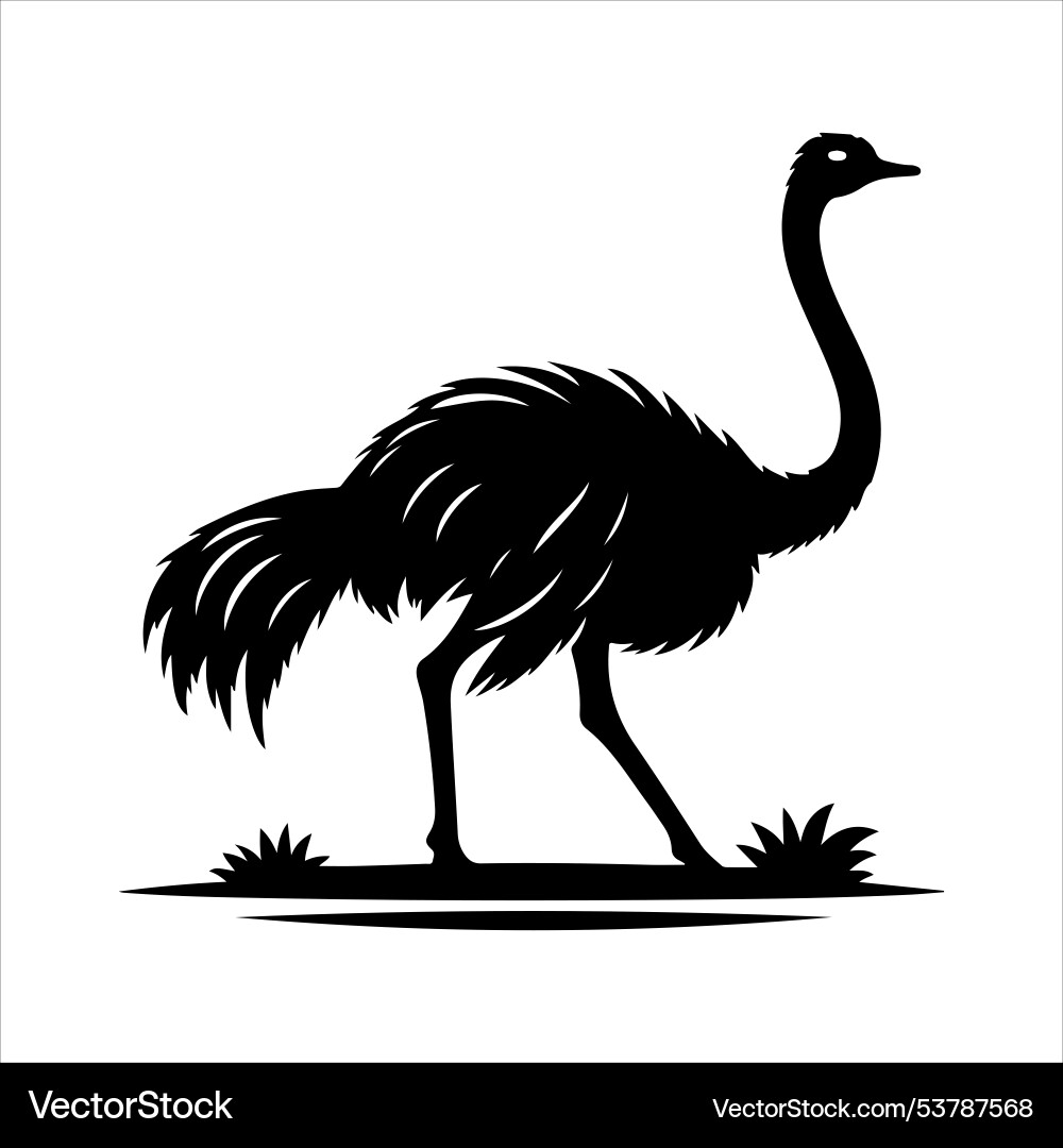 Ostrich art (53787568) – Royalty-Free Vector | VectorStock