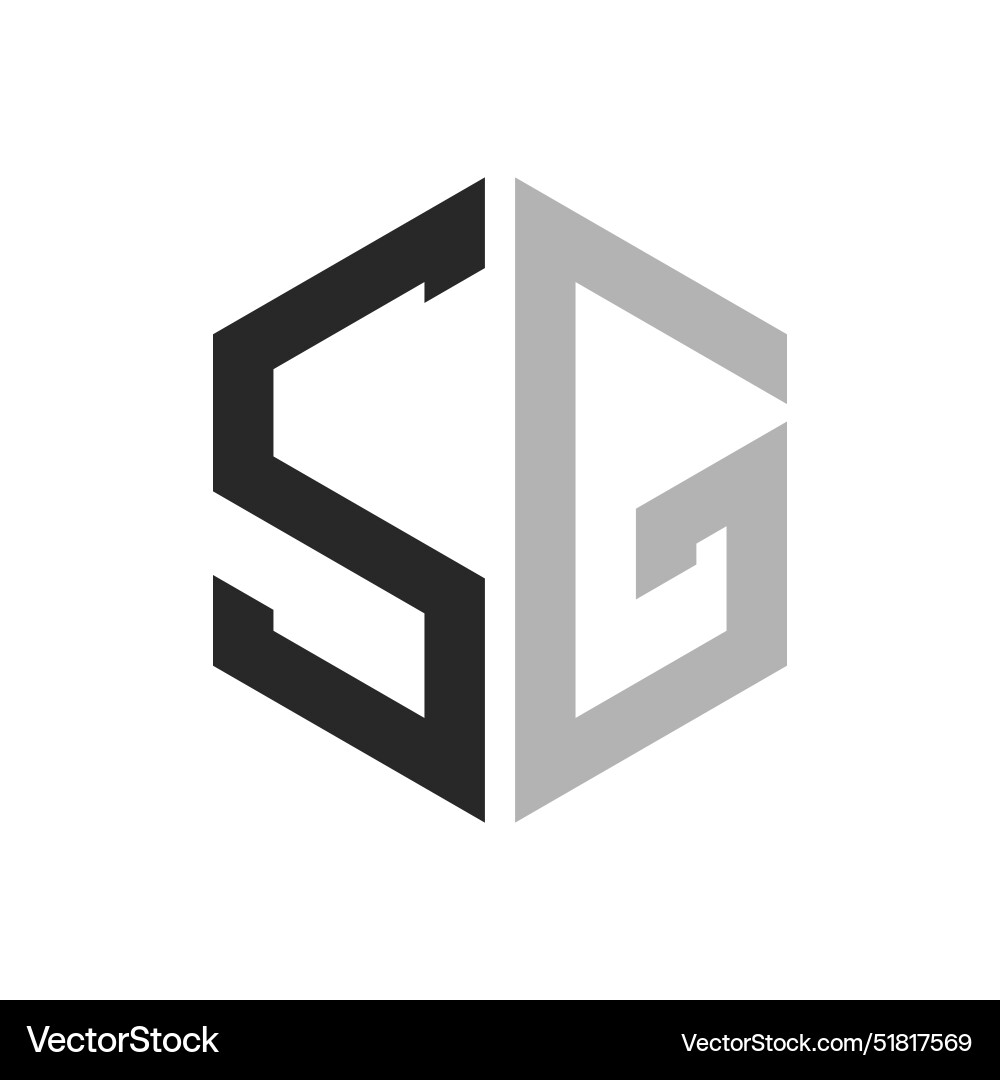 Modern unique hexagon letter sg logo design Vector Image