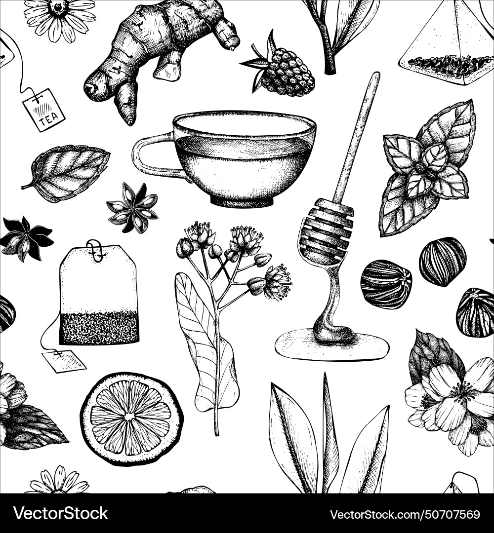 Tea seamless pattern herbal tea ingredient Vector Image