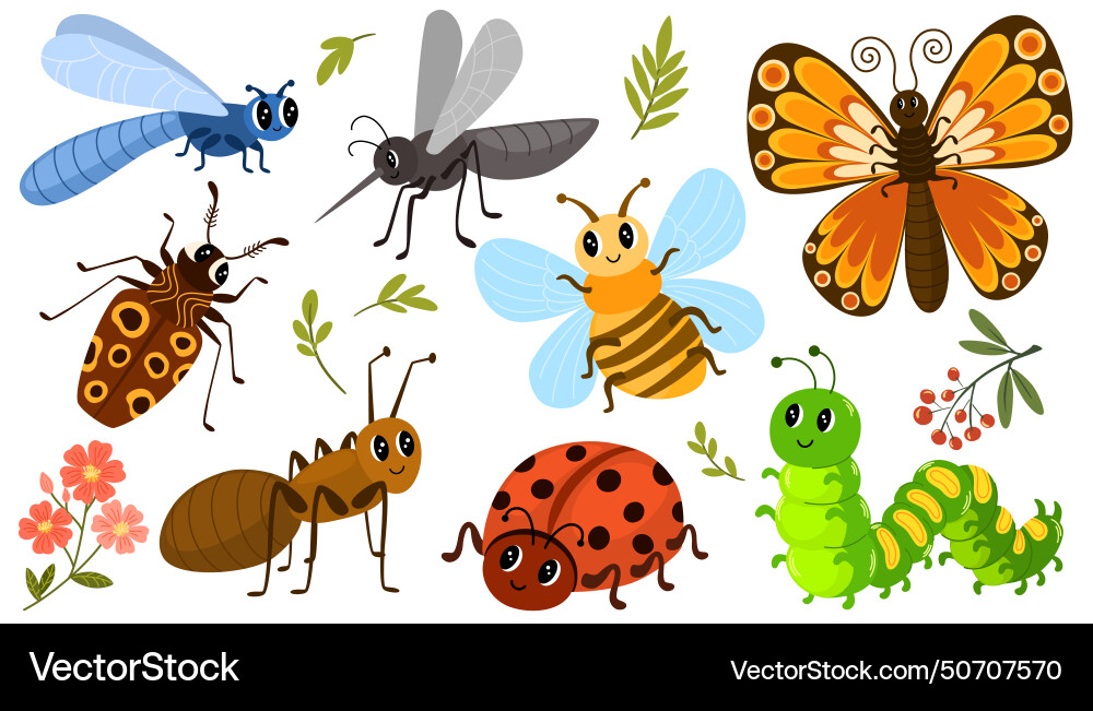 1628 insects Royalty Free Vector Image - VectorStock