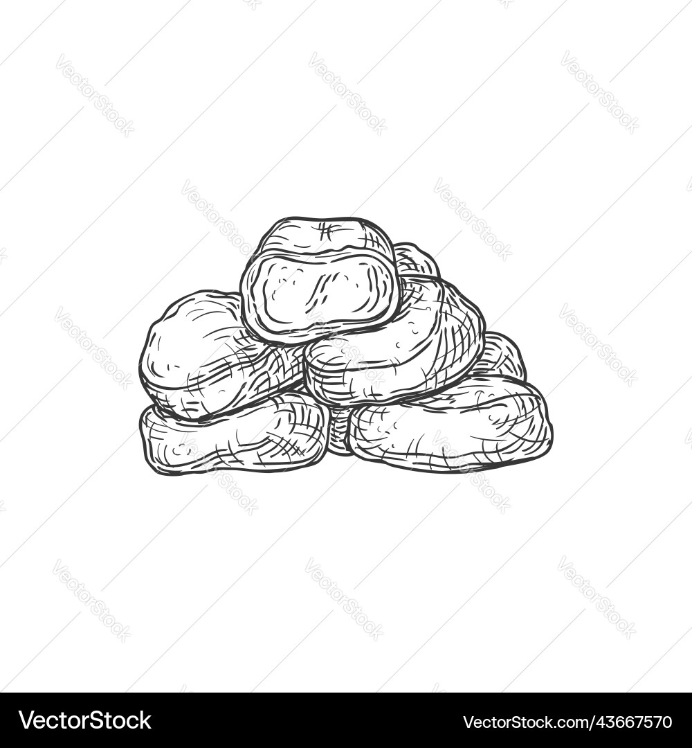 Chicken nuggets isolated fastfood snack sketch Vector Image