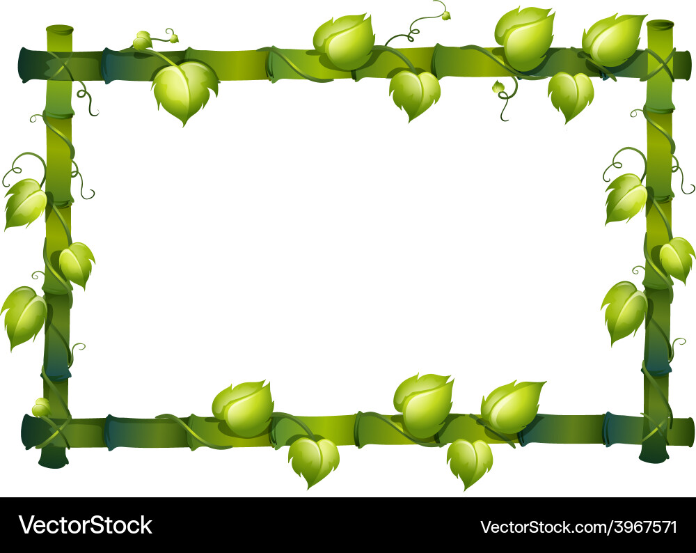 Bamboo frame Royalty Free Vector Image - VectorStock
