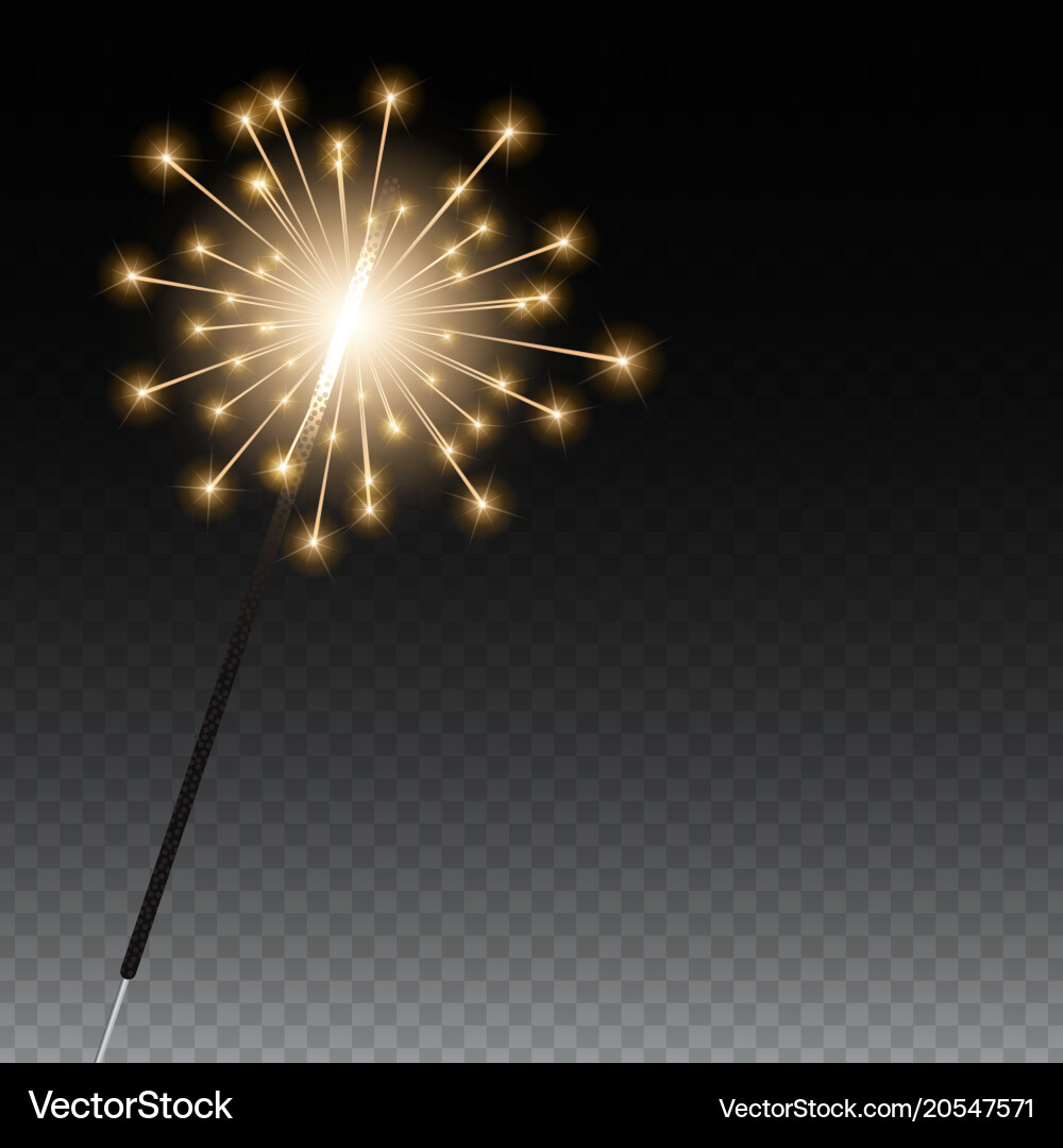 Bengal lights on a transparent background Vector Image