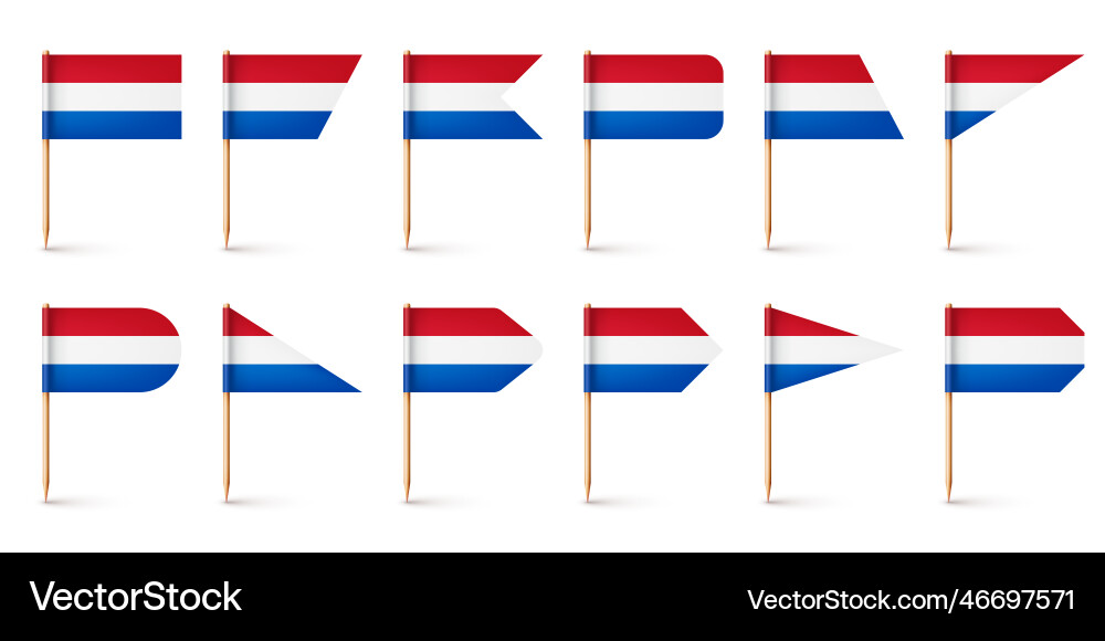 Realistic various dutch toothpick flags souvenir Vector Image