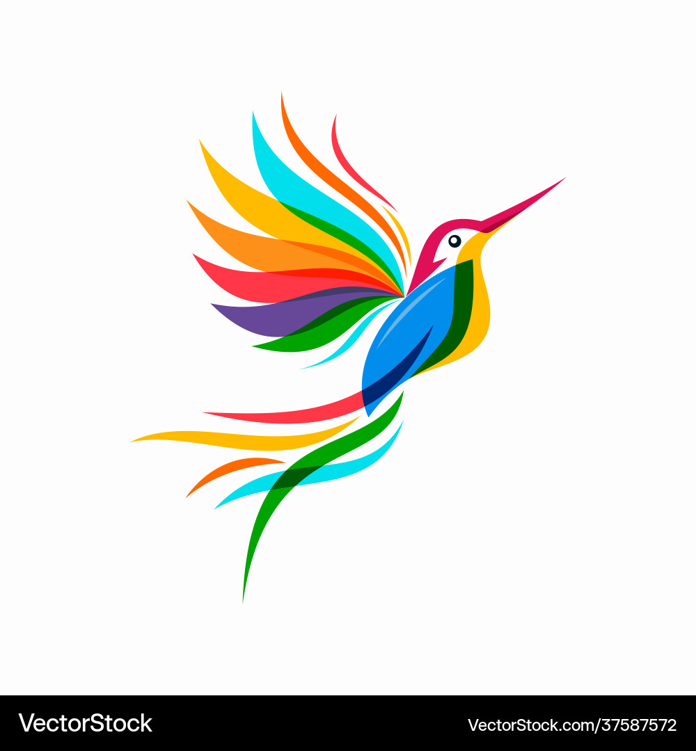 Colorful hummingbird logo Royalty Free Vector Image