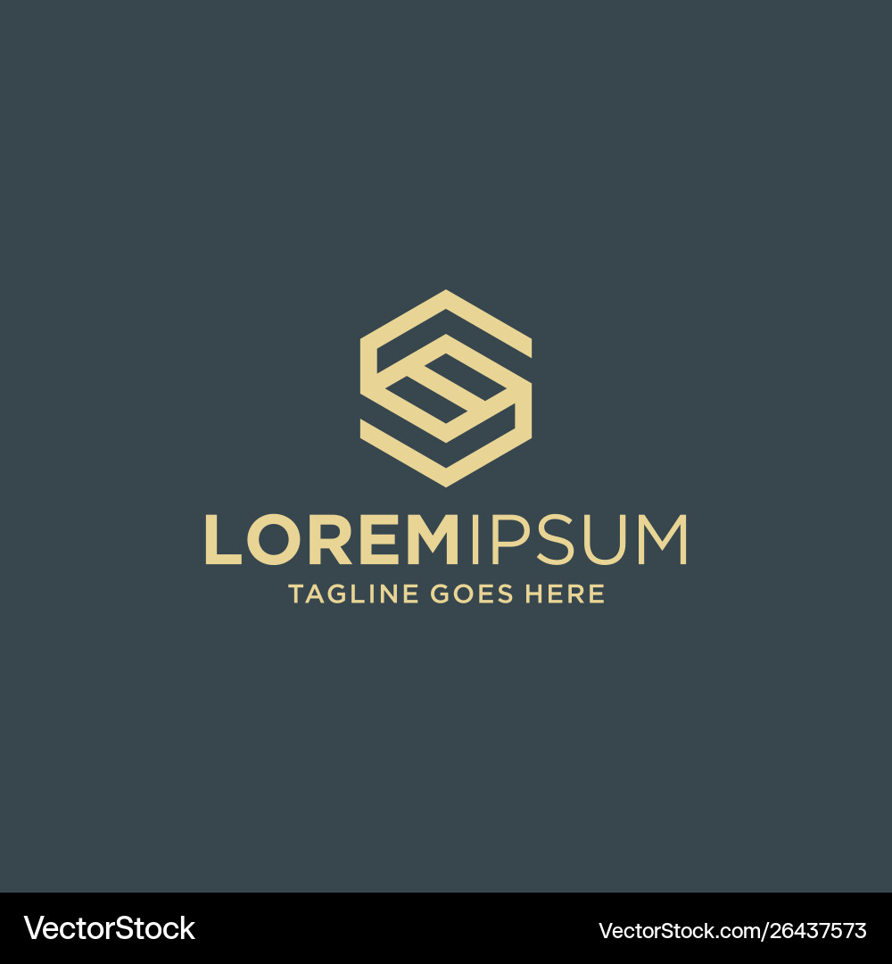 Modern Hexagon Logo Concept Royalty Free Vector Image