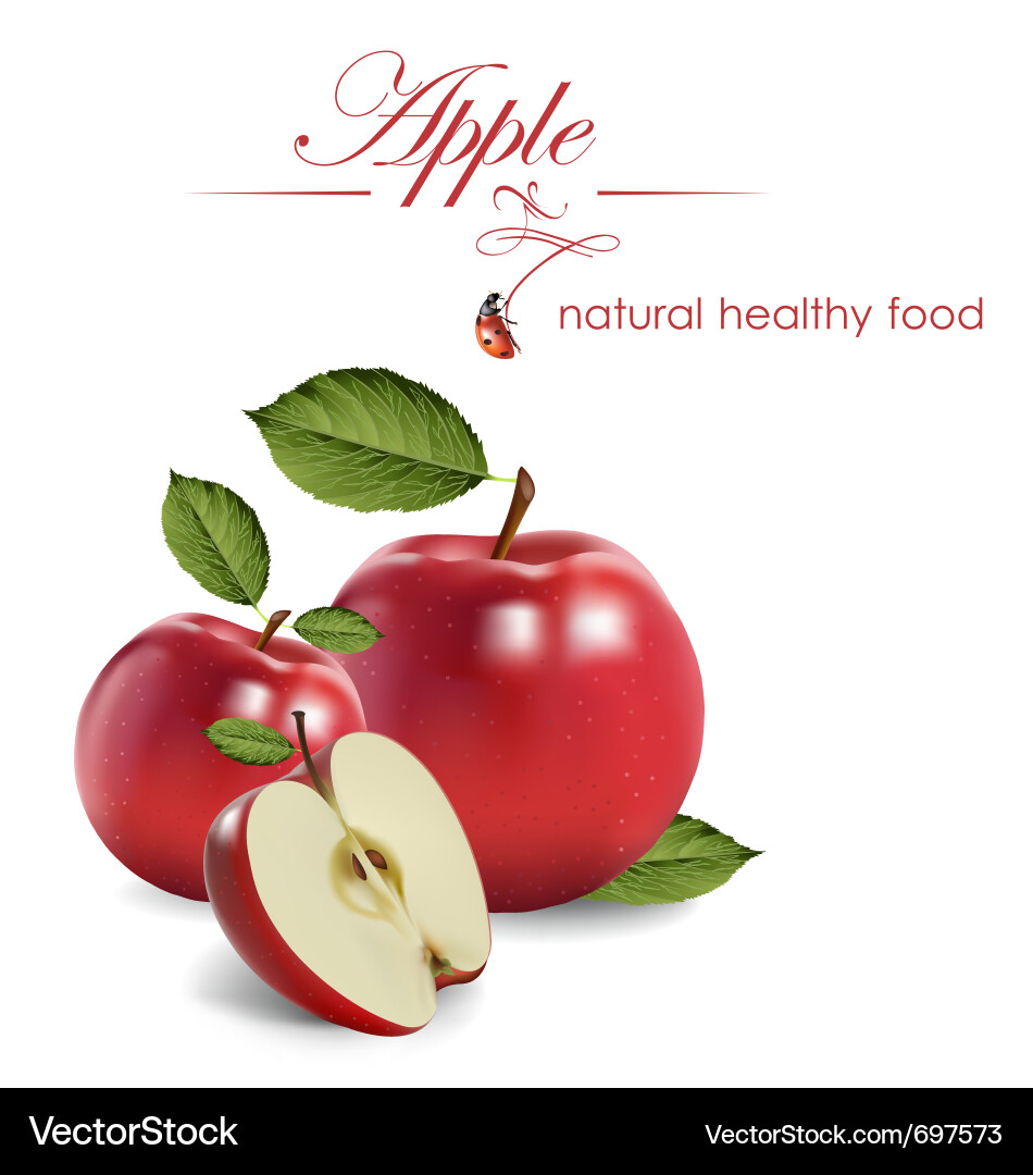 Ripe Red Apple Royalty Free Vector Image - VectorStock