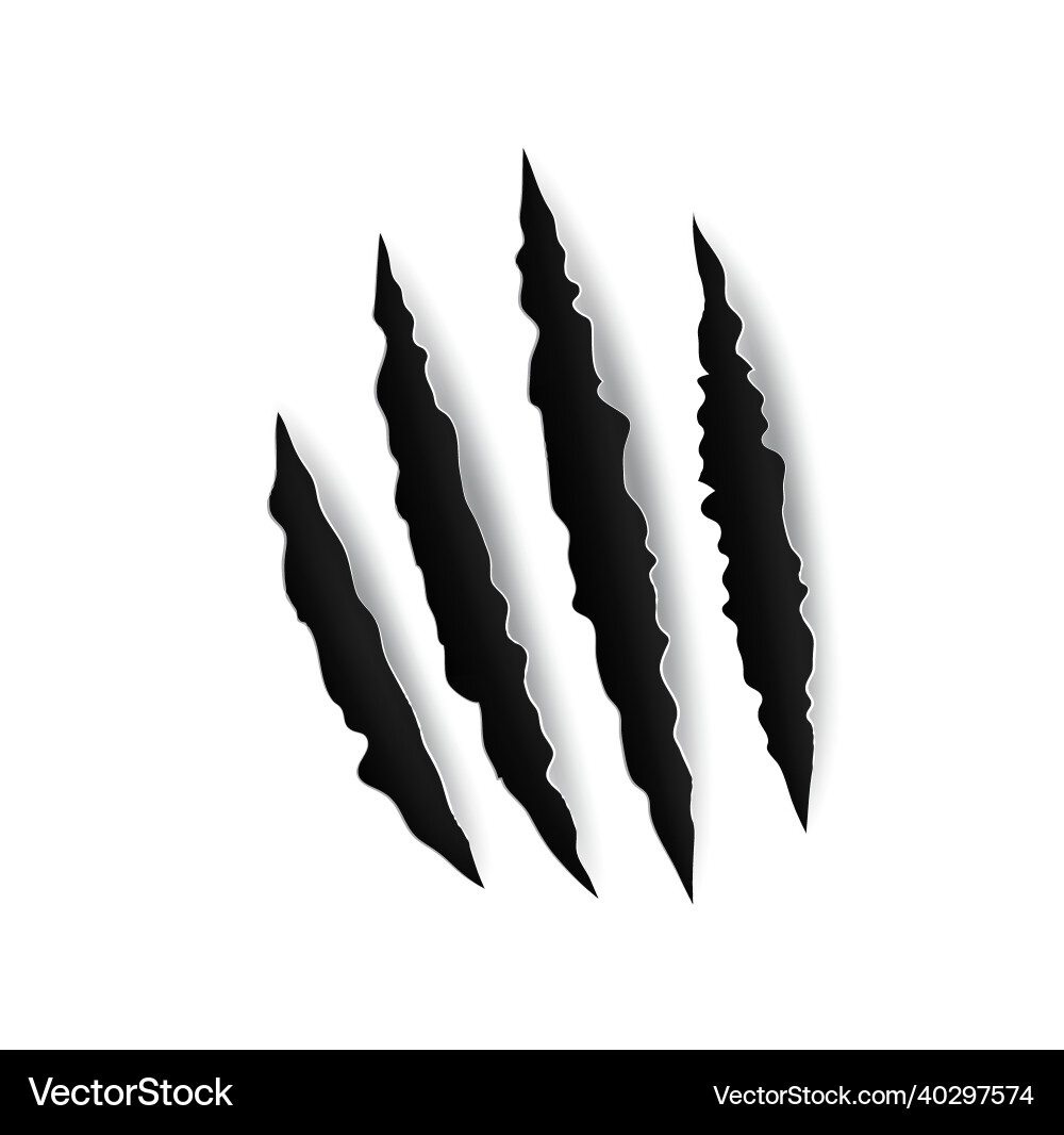 Bear Claw Scratches & Cracks Royalty Free Vector Image