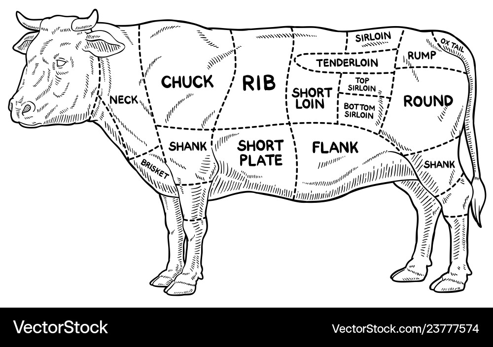 Hoof Diagram Vector Images (55)