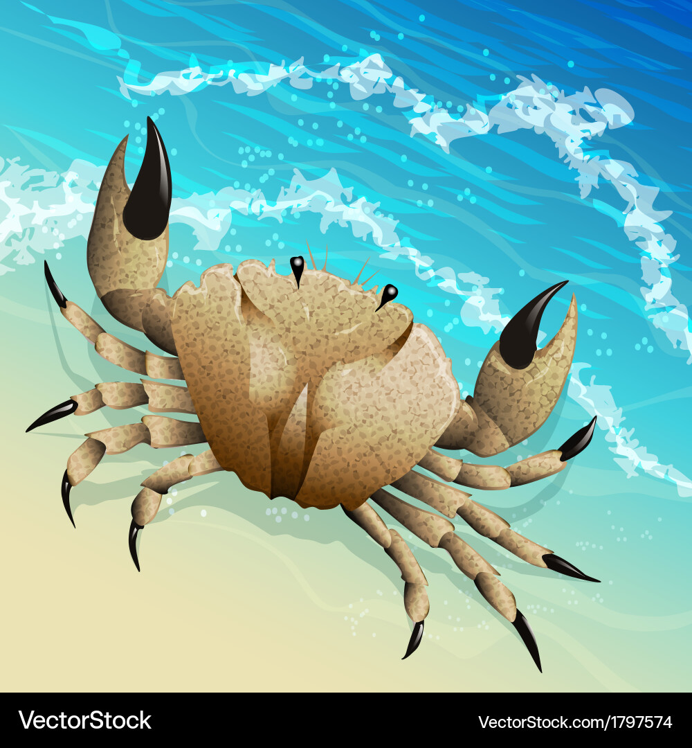 Crab Royalty Free Vector Image - VectorStock