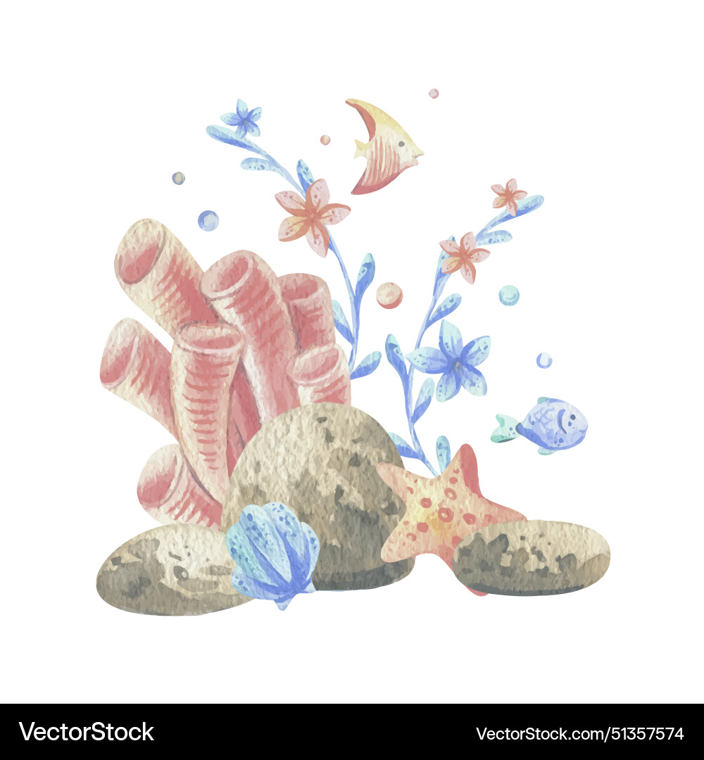 Sea corals algae shells starfish fish bubbles Vector Image