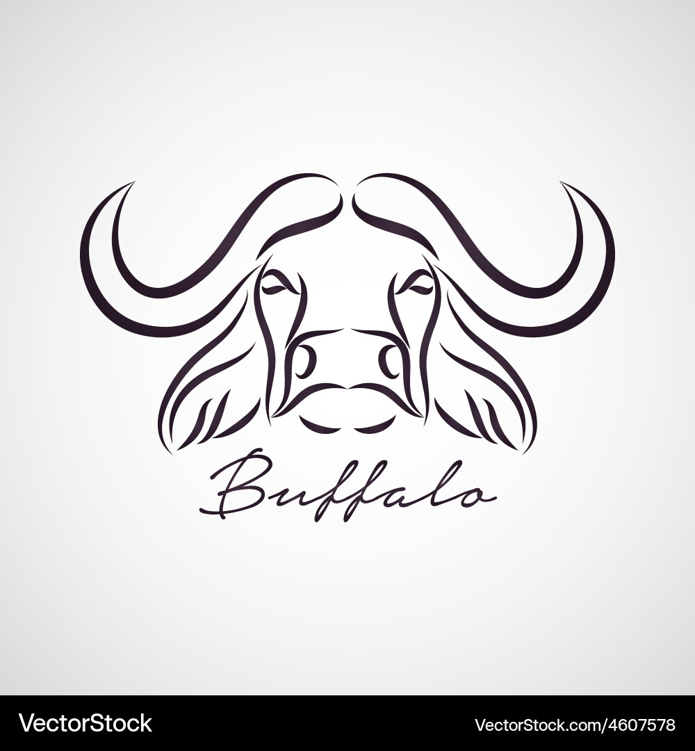 Buffalo logo Royalty Free Vector Image - VectorStock