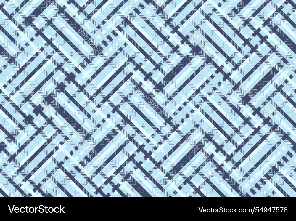 Elegant blue and white plaid pattern perfect Vector Image