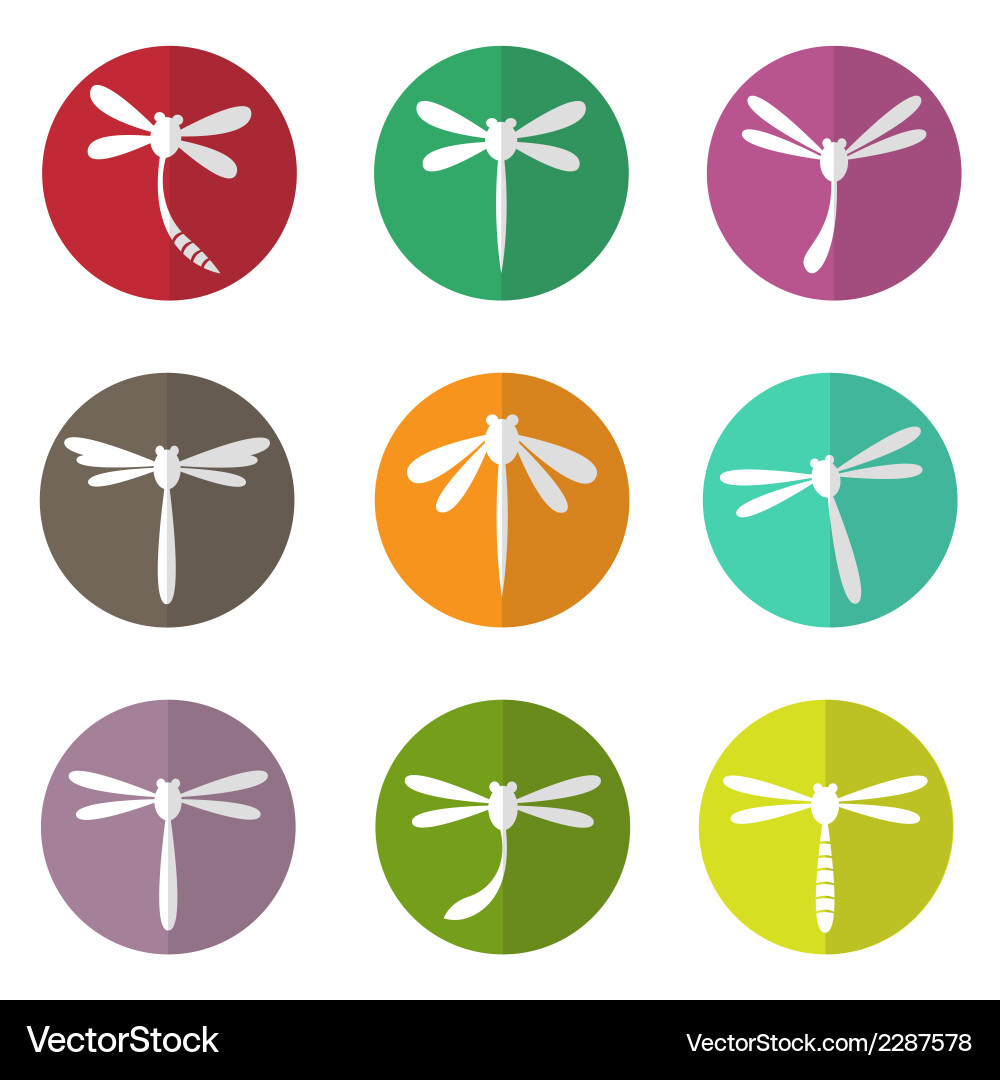 Group of dragonfly in the circle Royalty Free Vector Image