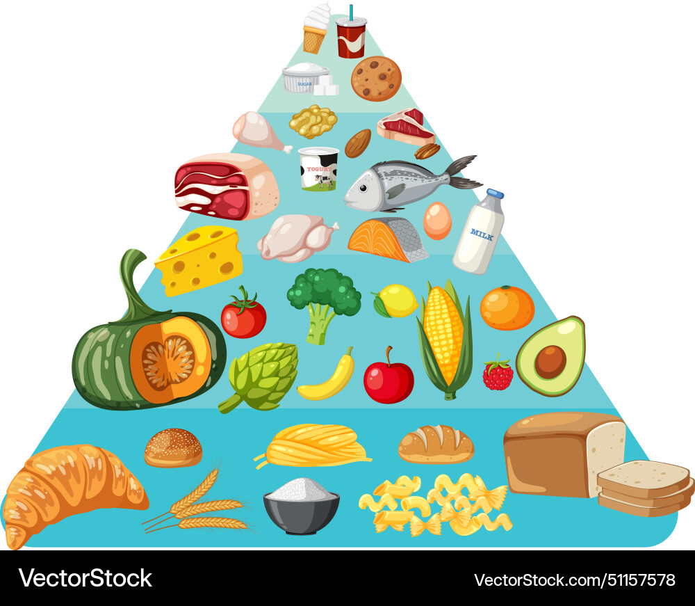 Various healthy foods in a pyramid Royalty Free Vector Image