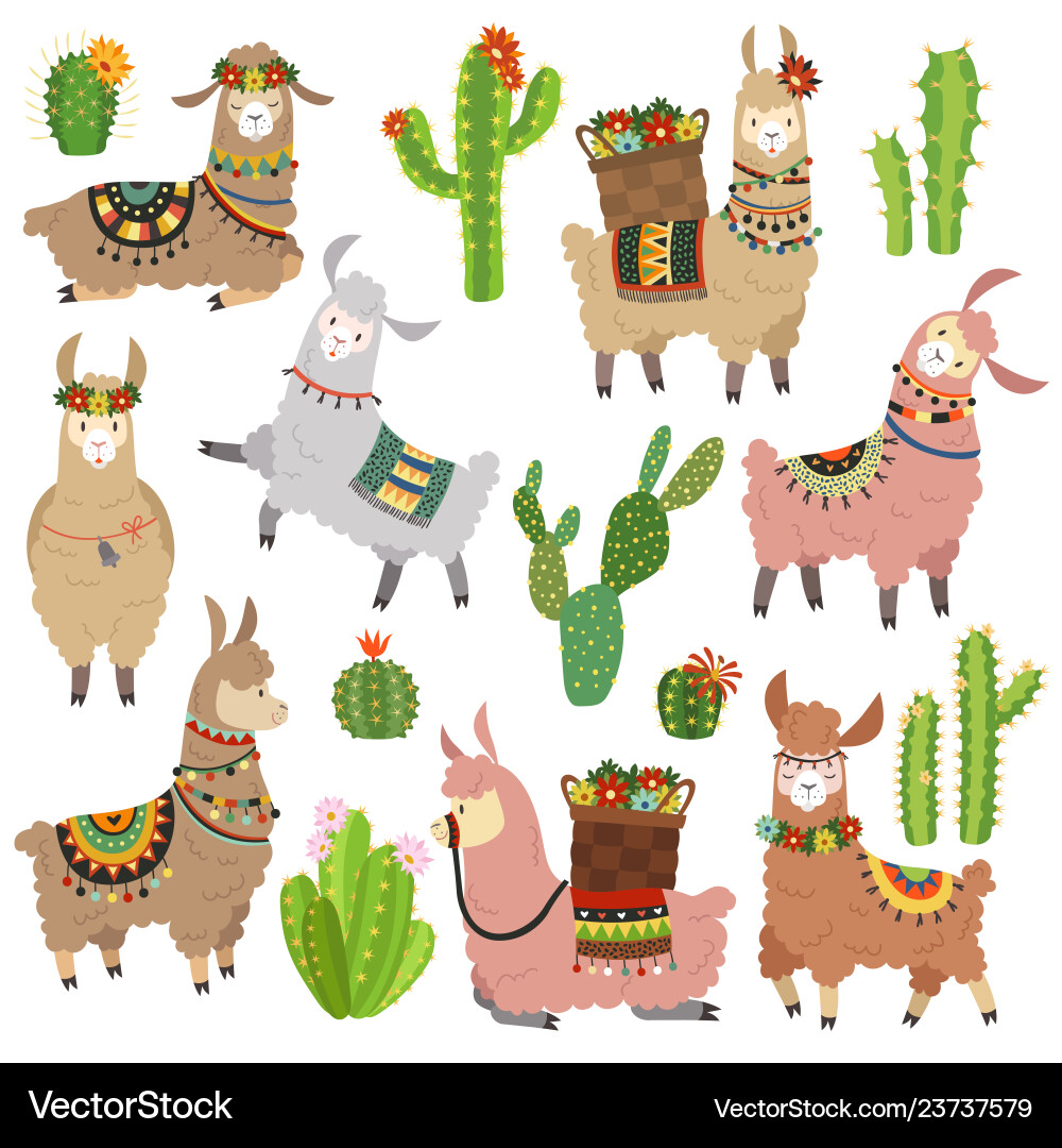 Llama cactus chile llamas alpaca and cacti wild Vector Image