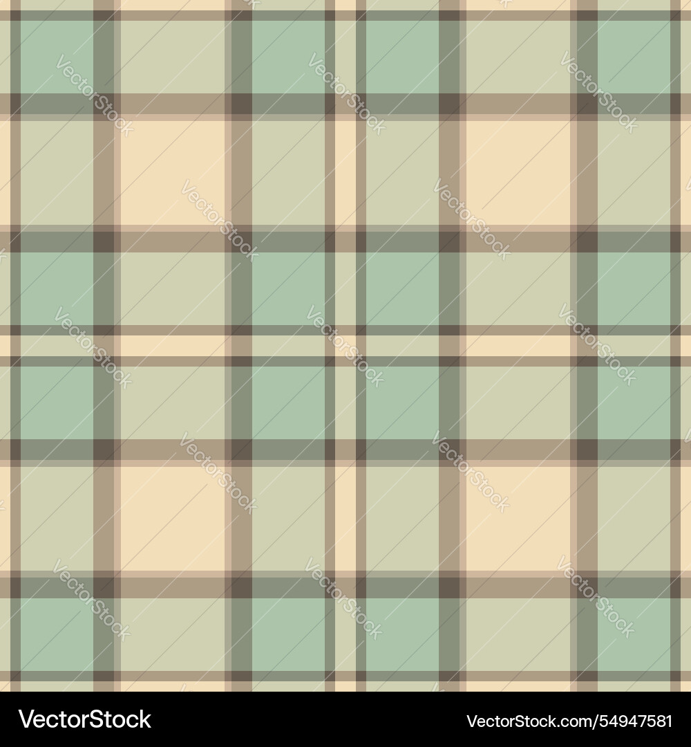 Elegant pastel plaid pattern soft beige green Vector Image