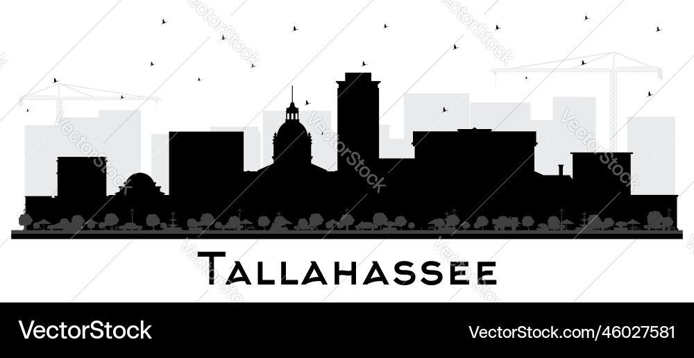 Tallahassee Florida City Skyline Silhouette Vector Image