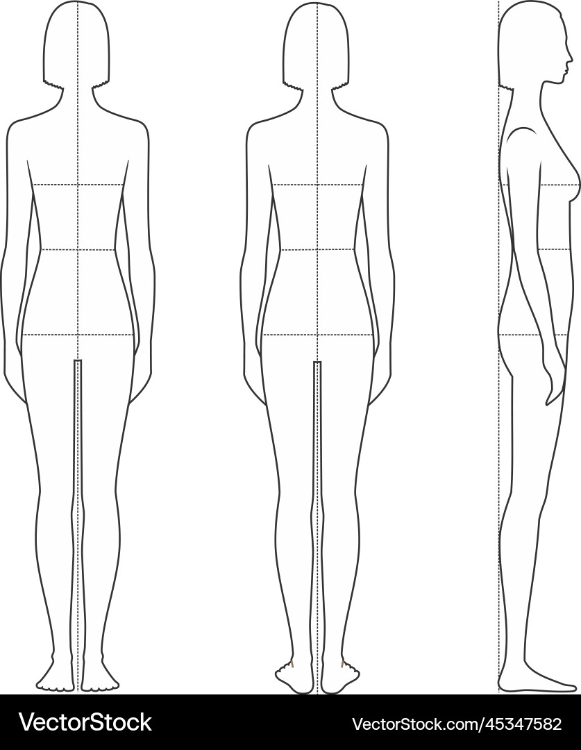 Female silhouette with proportions Royalty Free Vector Image
