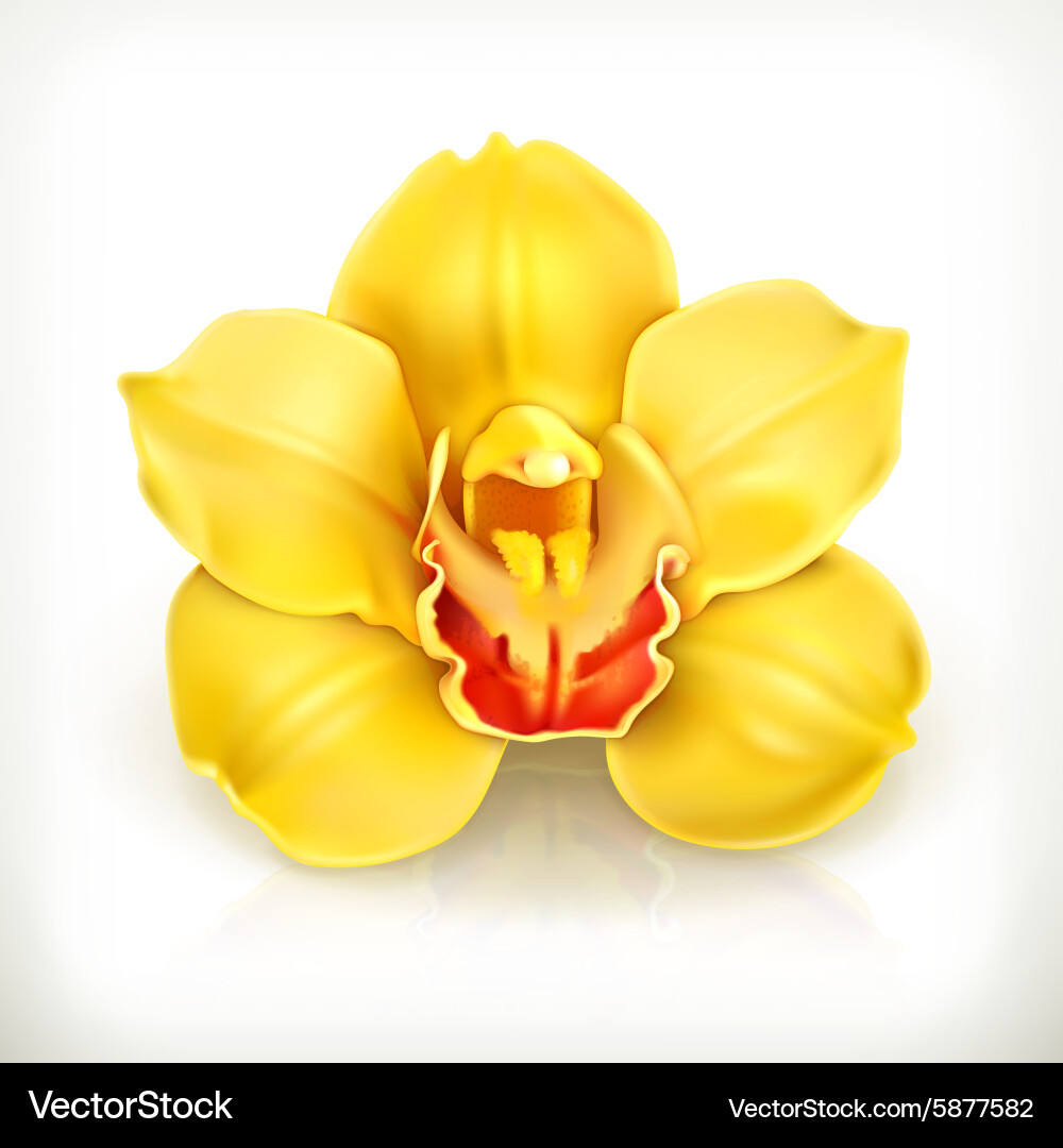Orchid flower icon Royalty Free Vector Image - VectorStock