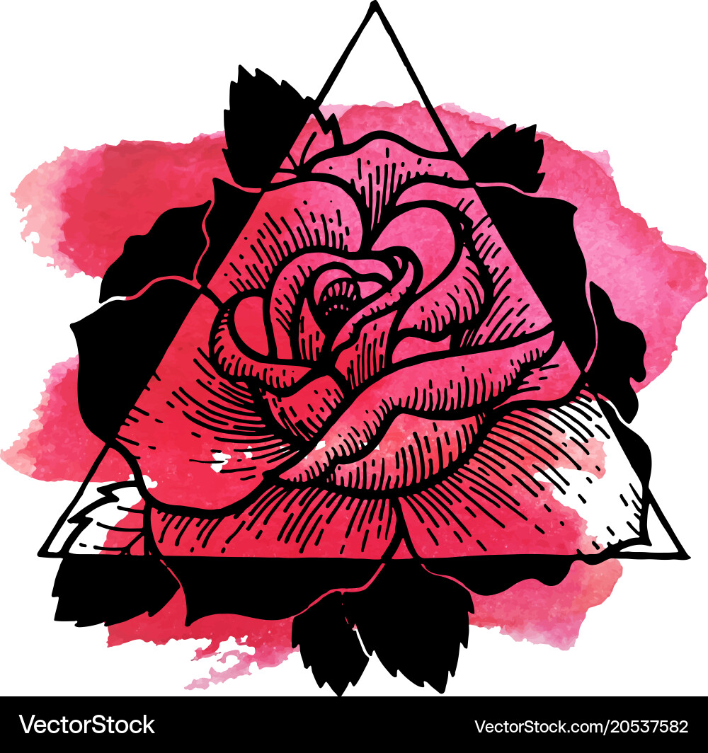 Sacred Rose Watercolor Geometry Royalty Free Vector Image