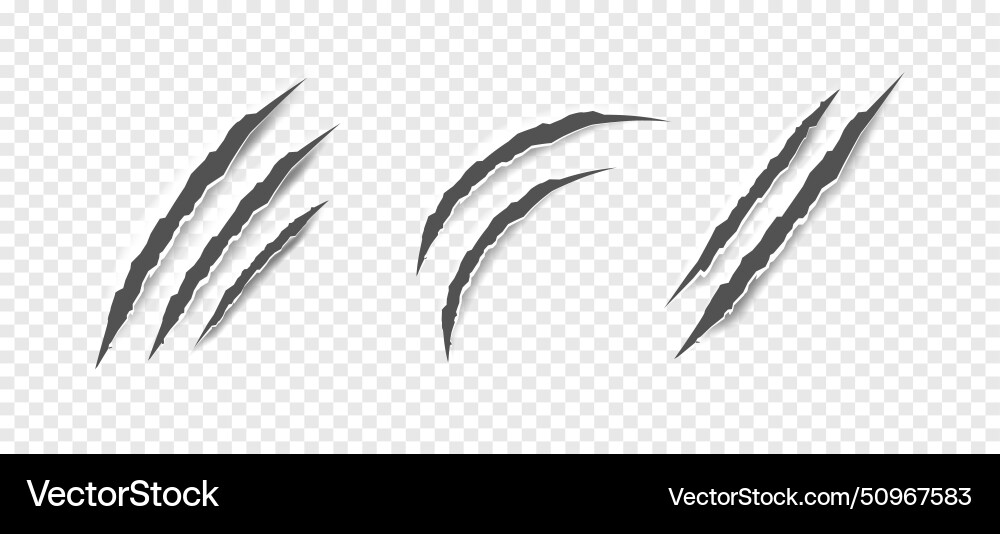 Black claw scratches - isolated claws Royalty Free Vector