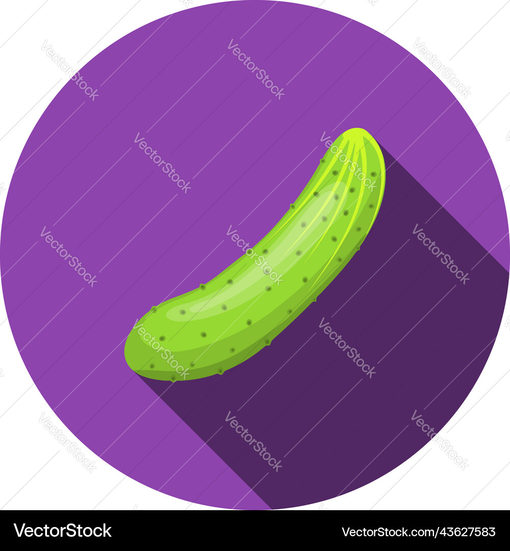 Cucumber icon Royalty Free Vector Image - VectorStock